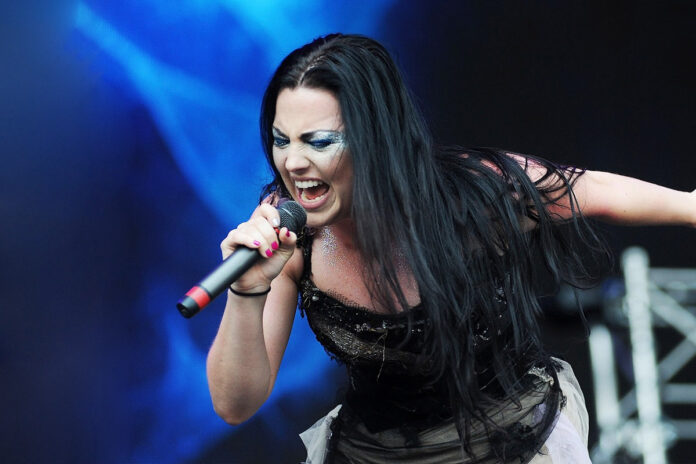 Amy Lee - Bio, Career, Awards, Songs & Albums